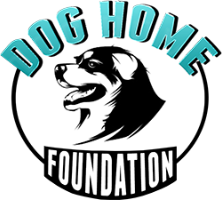 Spike Point Infotech